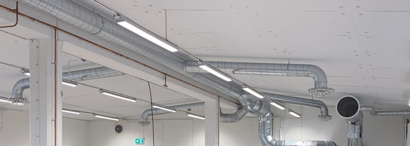 Albin in Hyssna - Exaktor